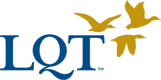 Litts Quality Technologies, Inc. – Quality consulting, designed to lead